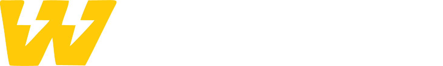 FlexiCore Feature Overview - Extensibility and Productivity | Wizzdi