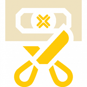 FlexiCore Feature Overview - Extensibility and Productivity | Wizzdi