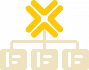 FlexiCore Feature Overview - Extensibility and Productivity | Wizzdi